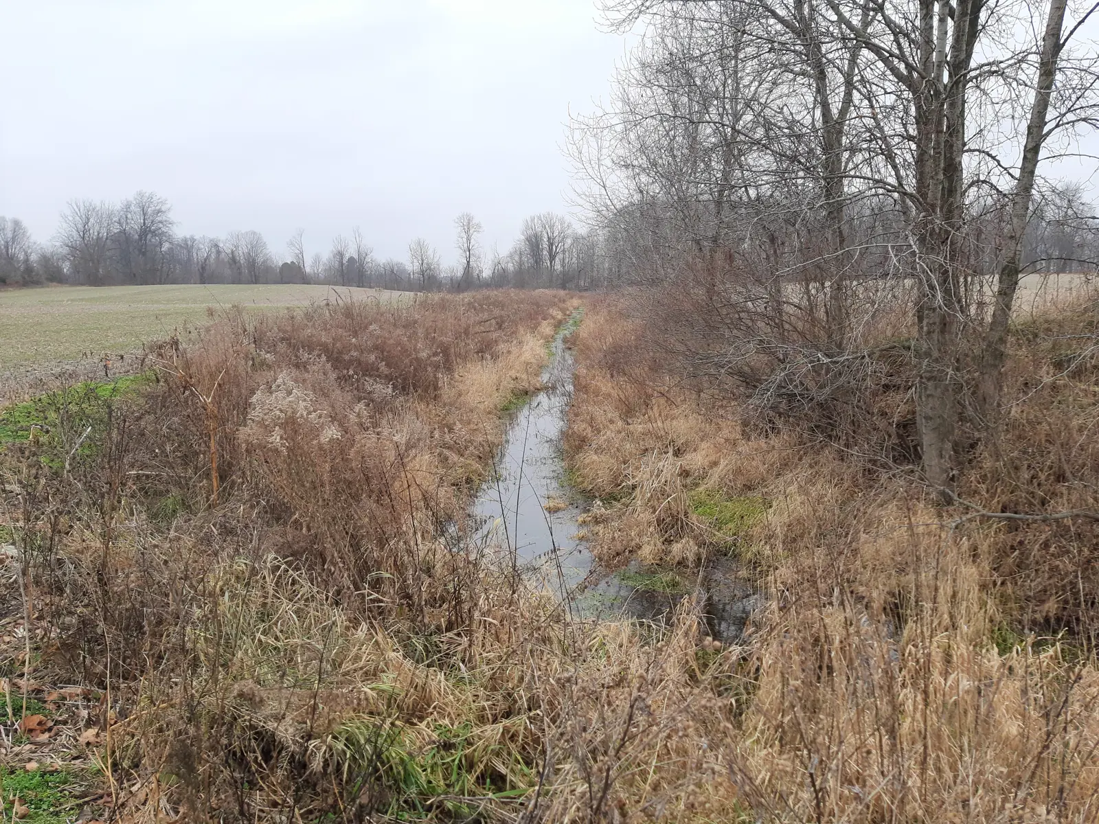 Municipal Drains | Municipality of Strathroy-Caradoc