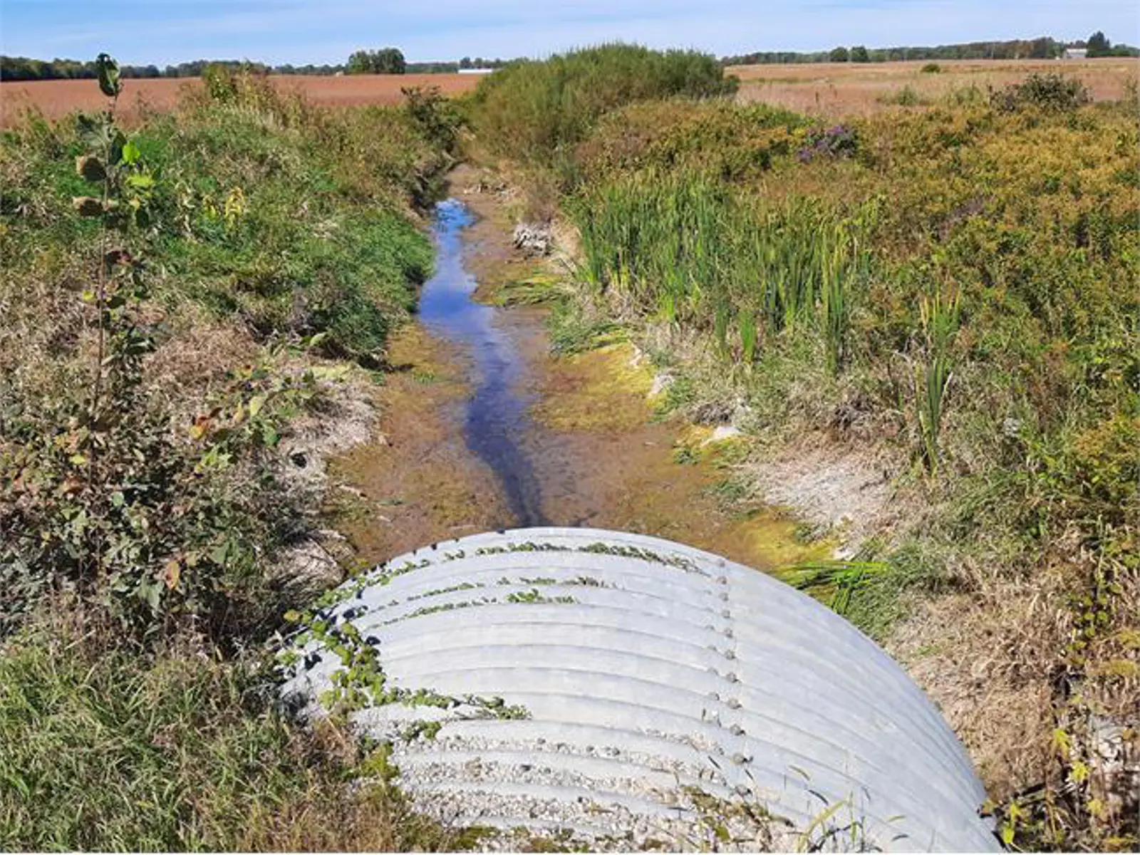 Municipal Drains | Municipality of Strathroy-Caradoc